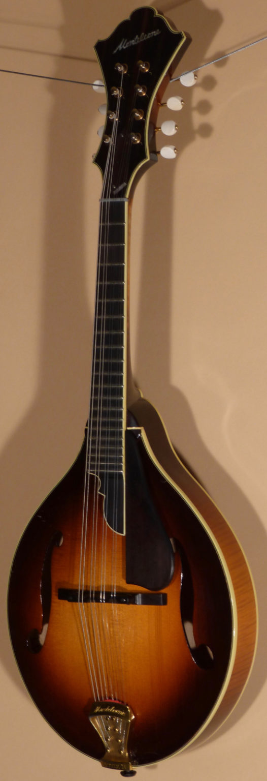 1988 Monteleone Model B Mandolin- SOLD - Greg Boyd's House of Fine ...