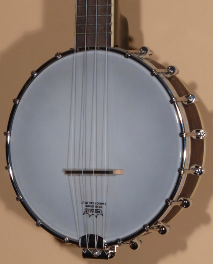 Gold Tone Baritone Banjolele- SOLD - Greg Boyd's House of Fine Instruments