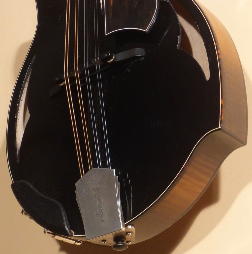 2006 Brentrup Stealth 3-Point Mandolin- SOLD - Greg Boyd's House of ...