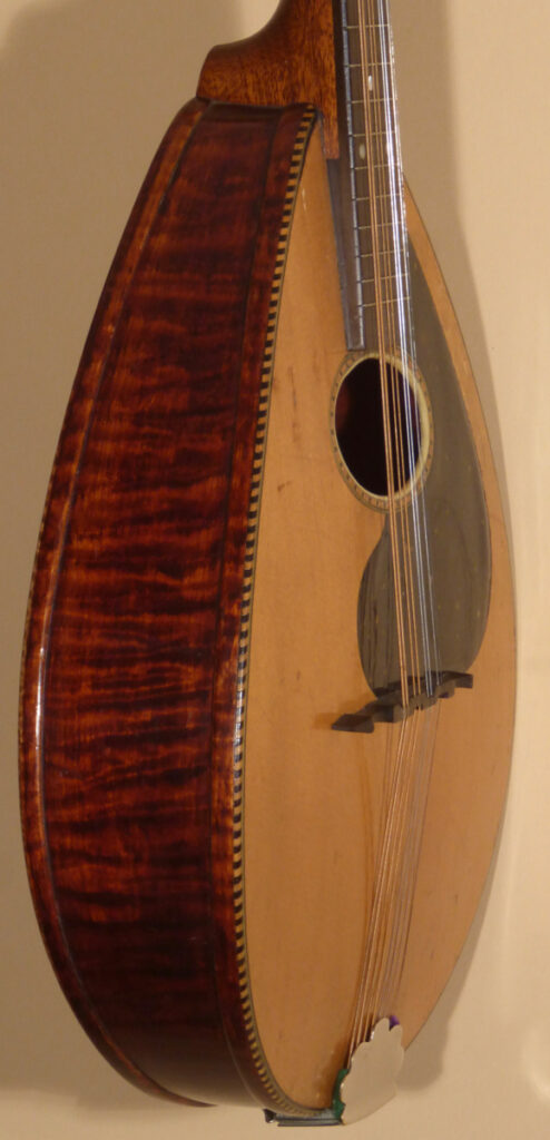 c.1909 Weymann Mando-Lute- SOLD - Greg Boyd's House of Fine Instruments