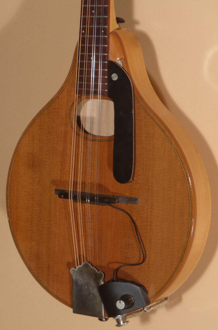 2010 Morris A Model Mandolin- SOLD