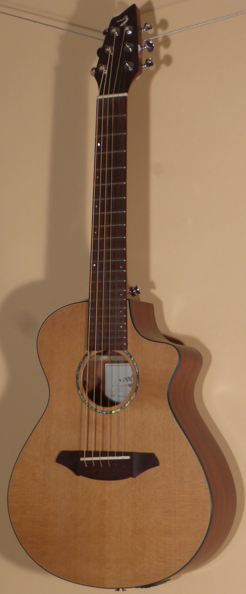 Breedlove C25 Passport Travel Guitar - SOLD - Greg Boyd's House of Fine ...