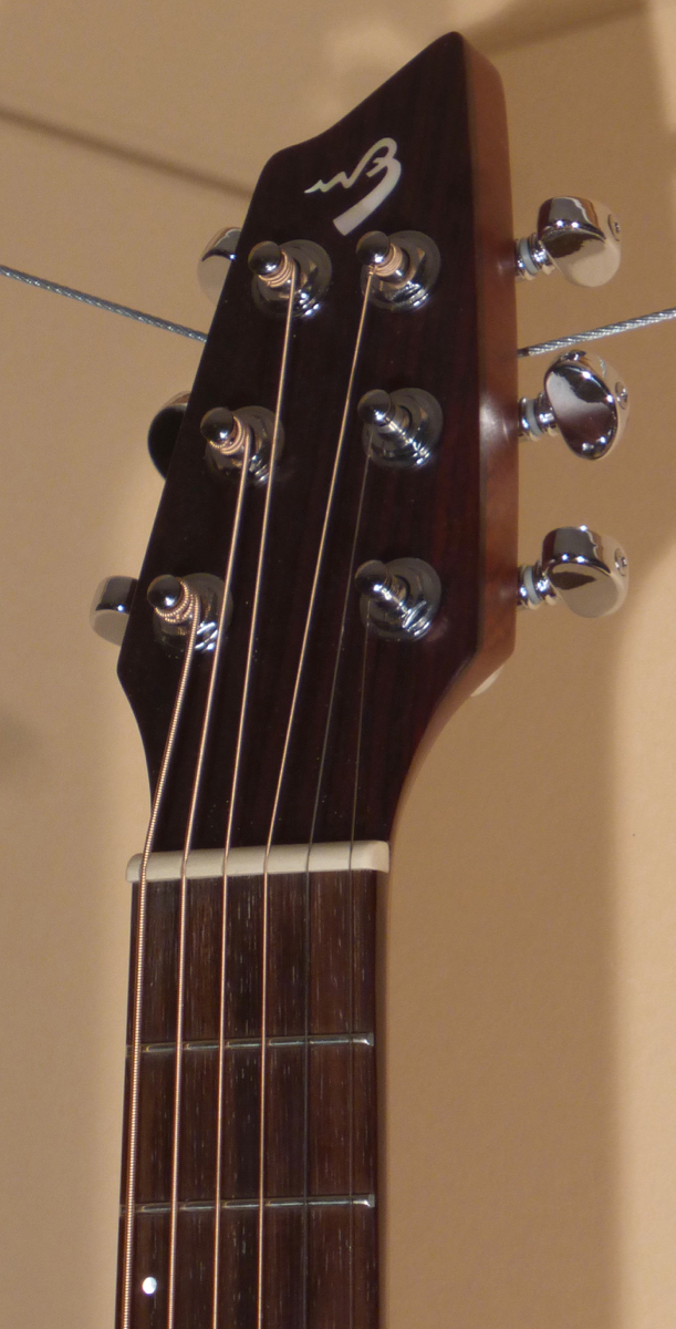 Breedlove C25 Passport Travel Guitar - SOLD - Greg Boyd's House of Fine ...