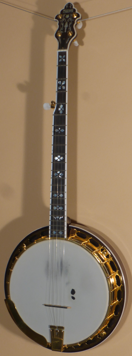 Recording King Custom Gold- SOLD - Greg Boyd's House of Fine Instruments