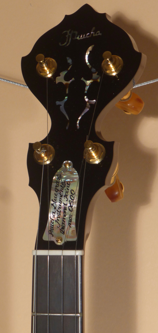 2006 Prucha Diamond Point T.T. Presentation Banjo - SOLD - Greg Boyd's ...