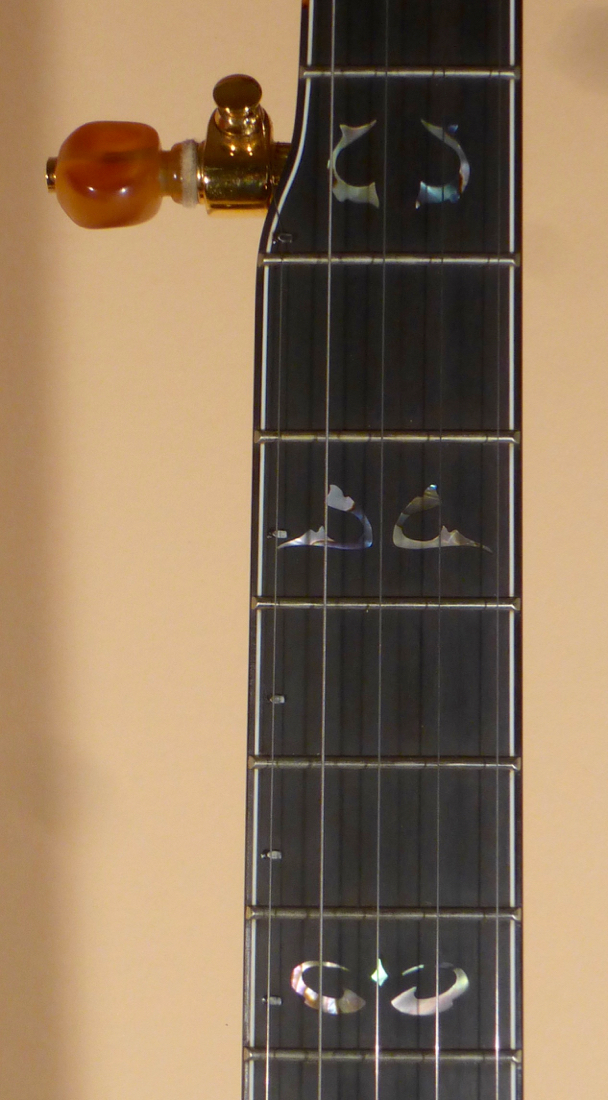 2006 Prucha Diamond Point T.T. Presentation Banjo - SOLD - Greg Boyd's ...